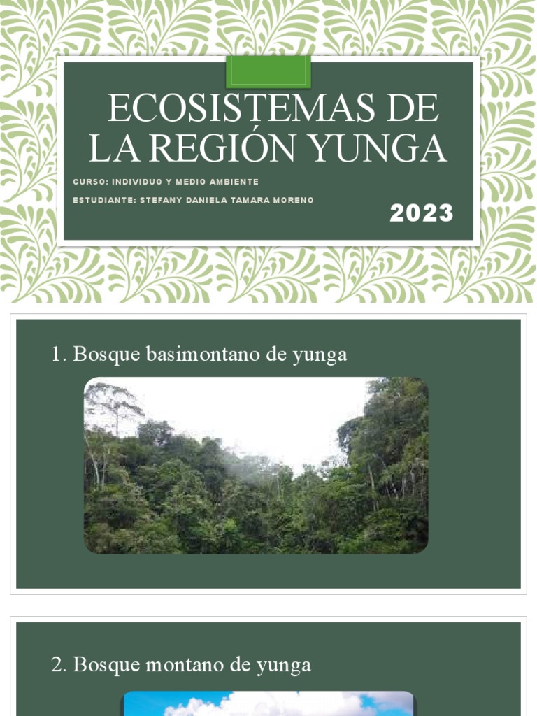 ECOSISTEMAS DE LA REGIÓN YUNGA presentacion | PDF