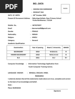 Simple Biodata Format | PDF