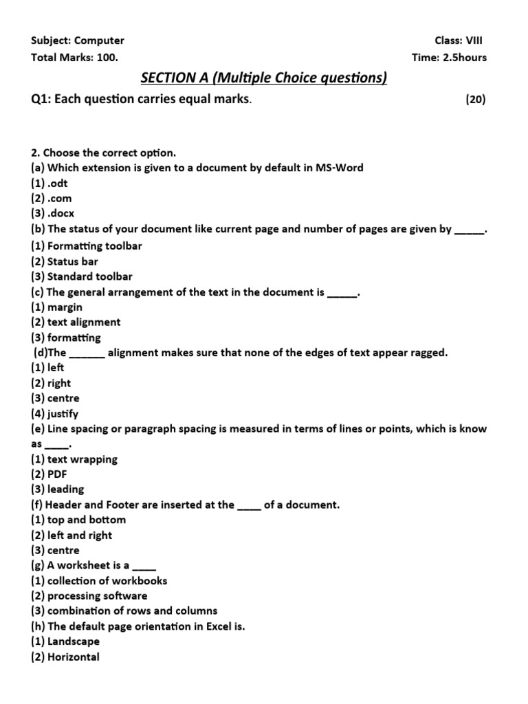 Computer Class 8 | PDF | Microsoft Excel | Graphical User Interfaces