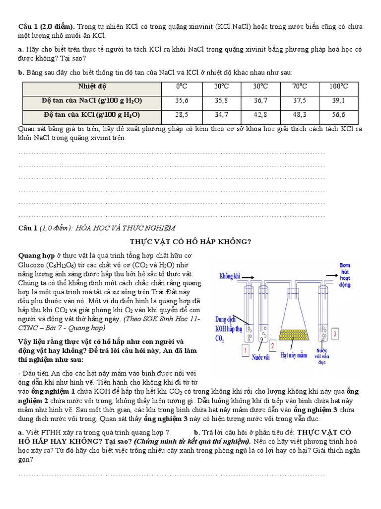 Kim Lo I Tư Duy | PDF