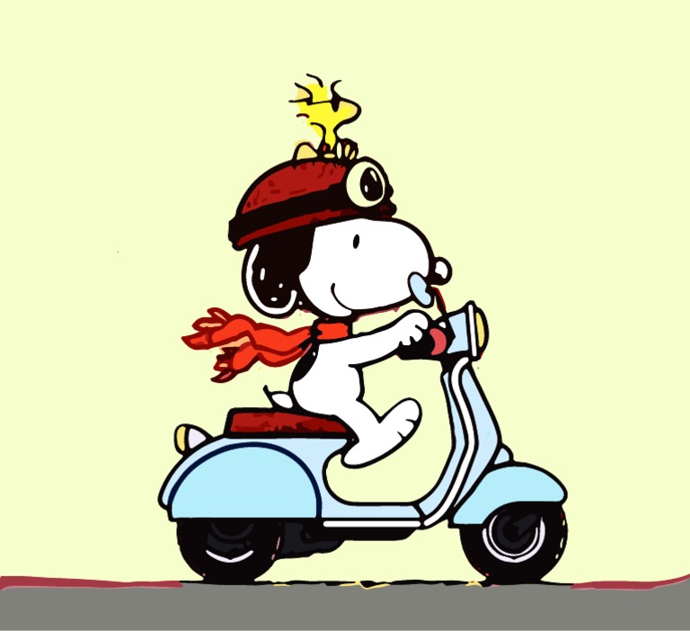 Vespa Snoopy 2 | PDF