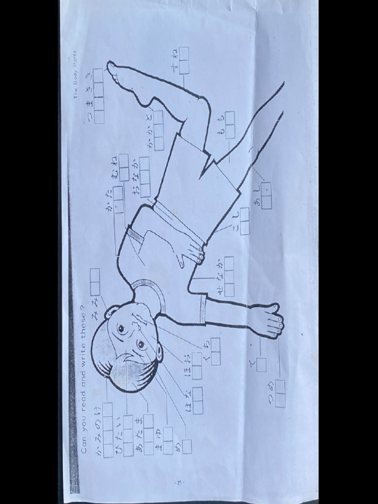 Alphabet and Body | PDF