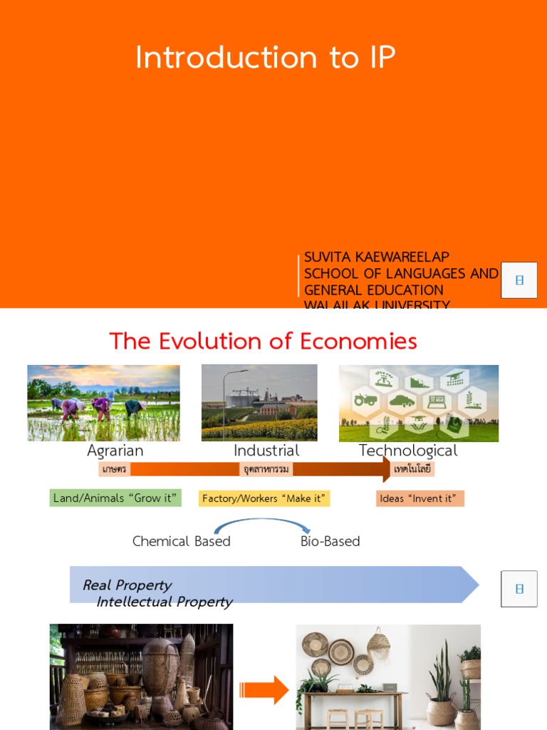 Introduction To IP | PDF