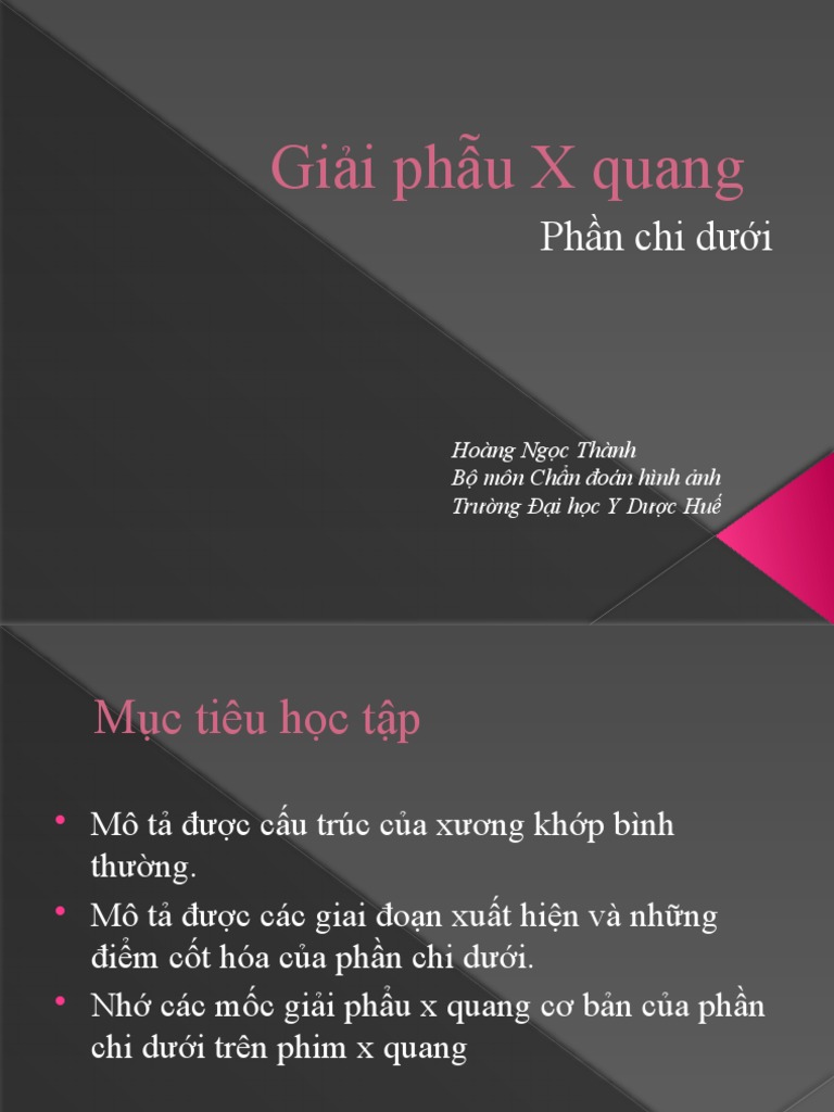 Giải phẫu X quang 1 | PDF