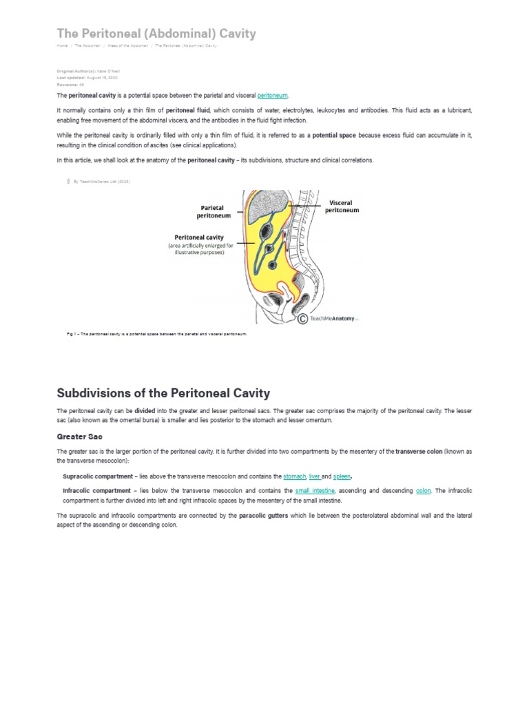 The Peritoneal Cavity - Greater Sac - Lesser Sac - TeachMeAnatomy | PDF ...
