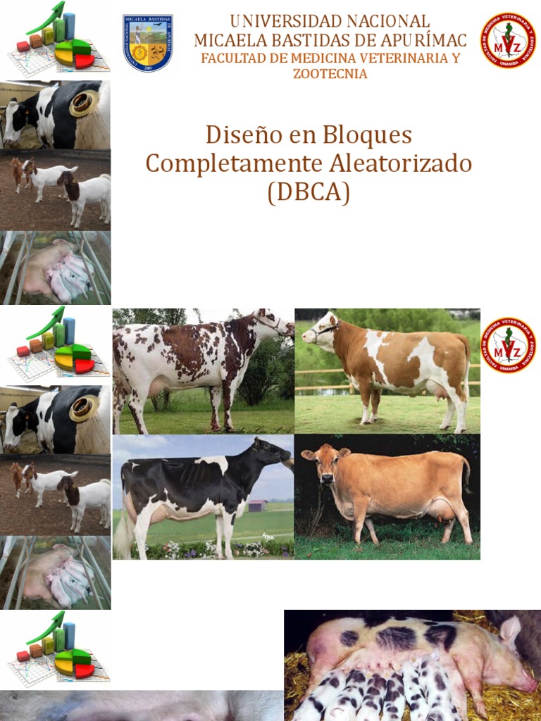 Diseño en Bloques Completamente Al Azar (DBCA) | PDF