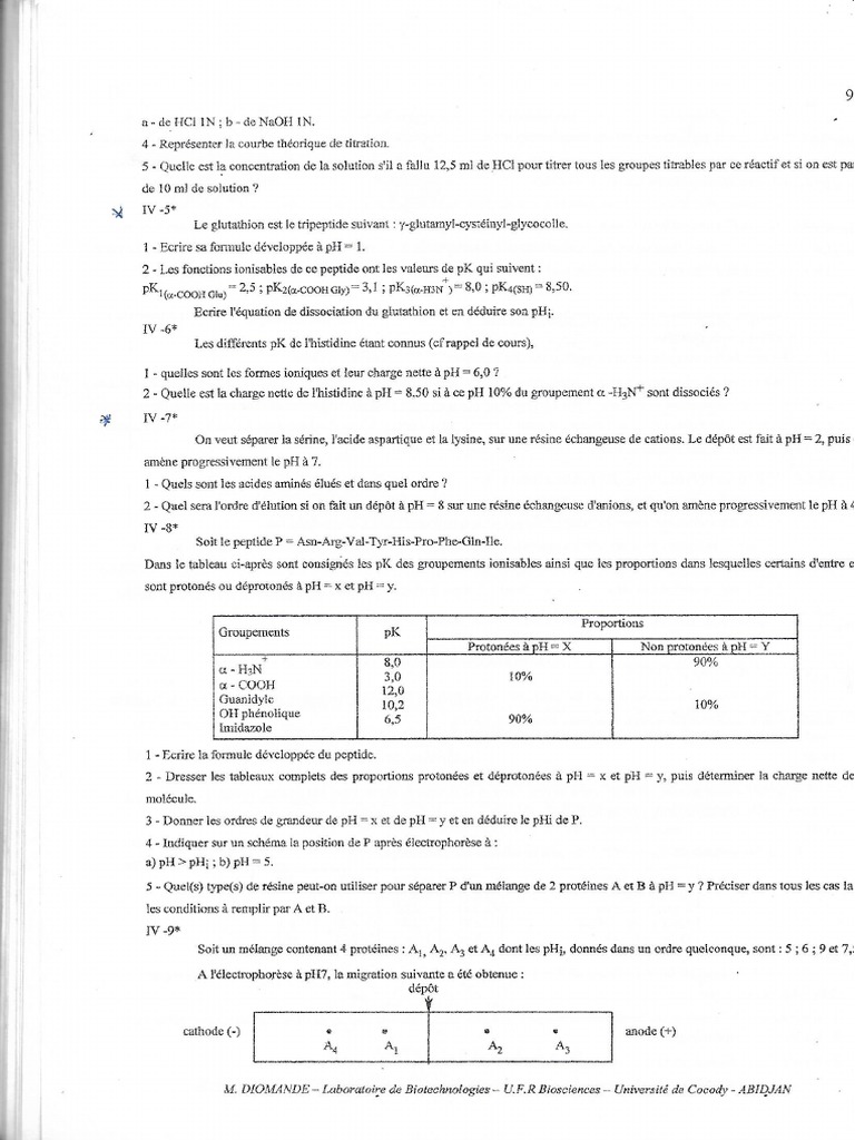 Exercices Protides L3 BBM-1 | PDF