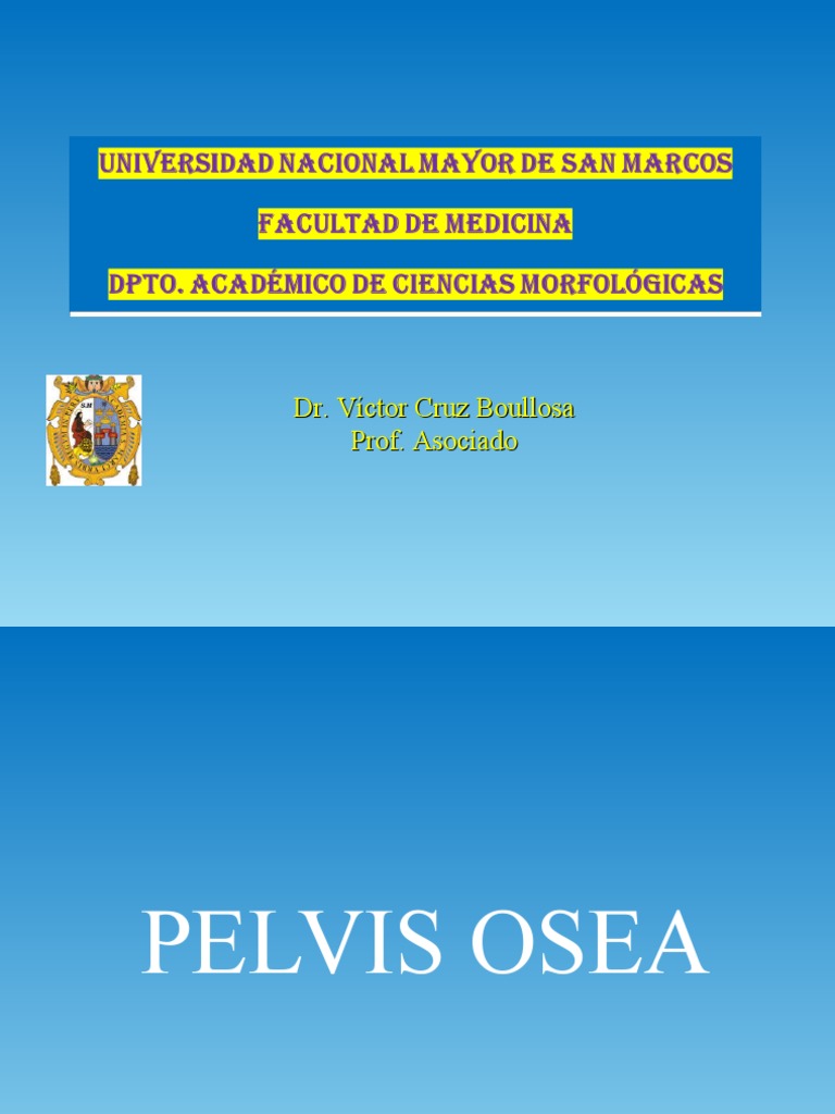 Pelvis Osea Pelvimetria Pdf Pelvis Sistema Esquelético