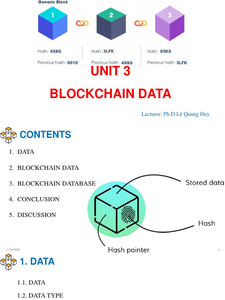 Blockchain Data & Databases Guide | PDF