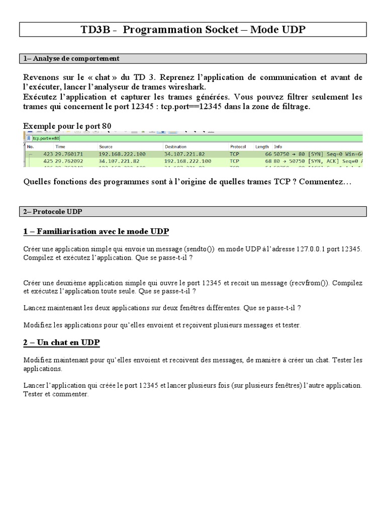 Programmation Socket en UDP : TD3B | PDF