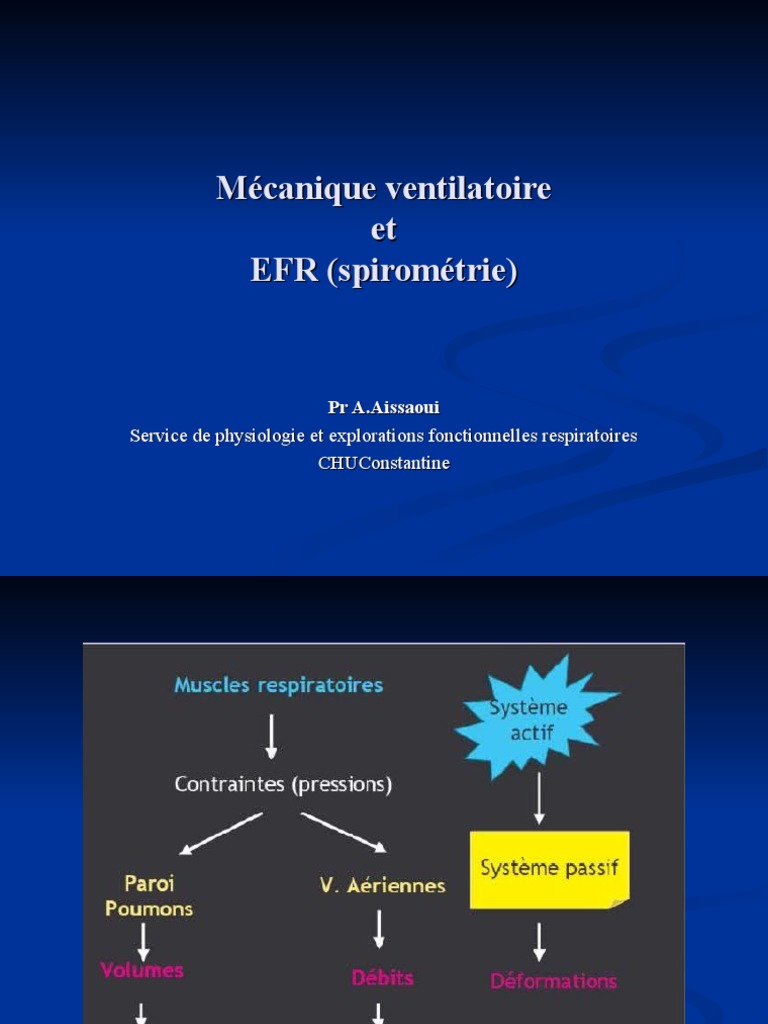 Mécanique Ventilatoire et EFR: Concepts Clés | PDF | Pneumologie ...