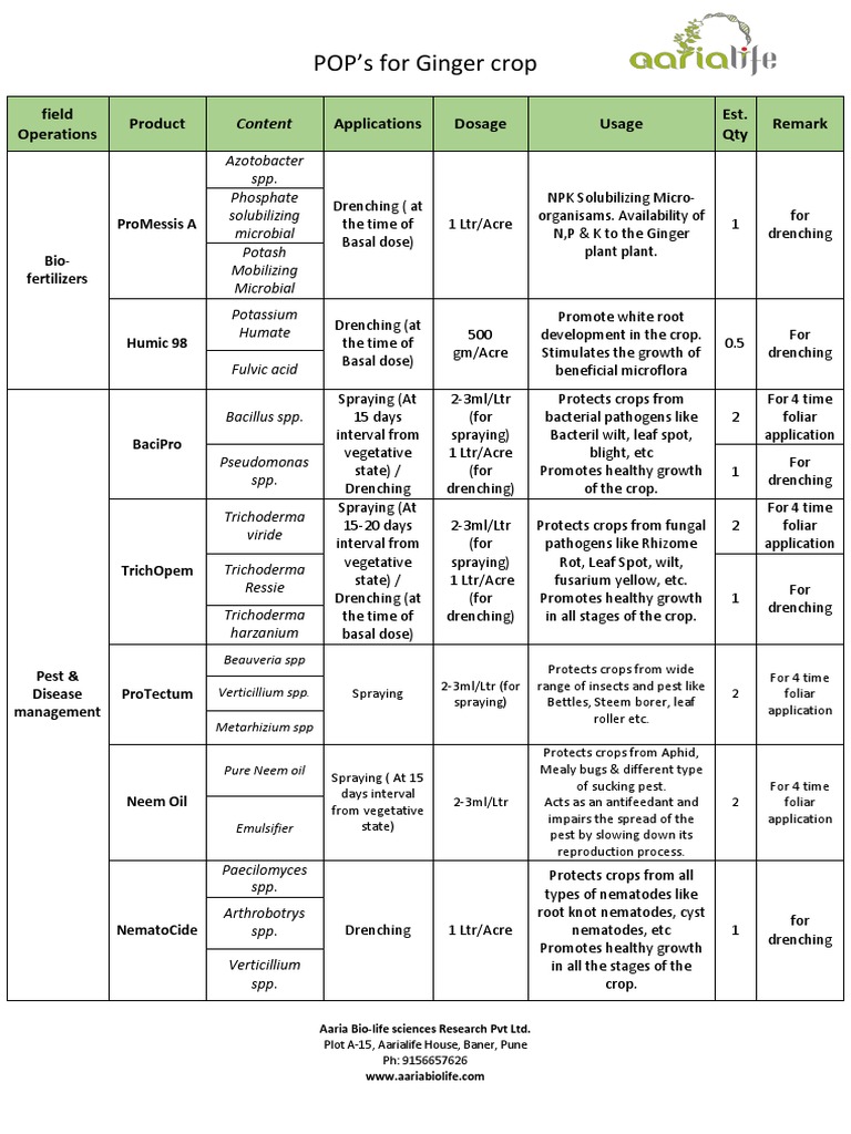 POP's - Ginger | PDF