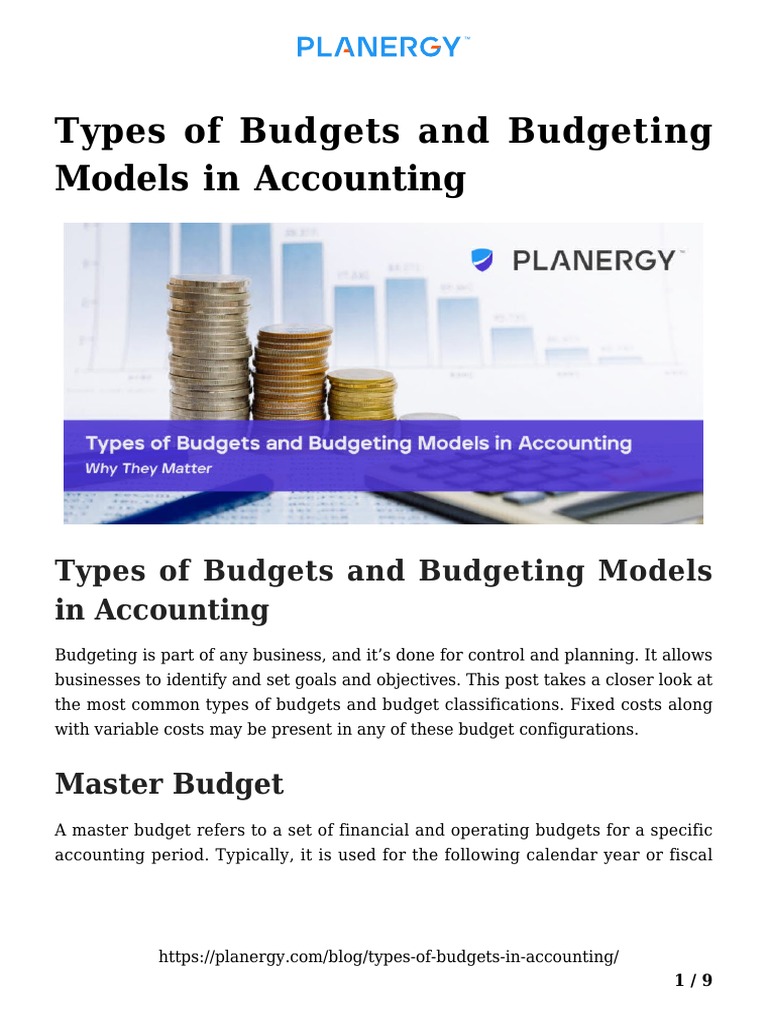 types-of-budgets-in-accounting | PDF