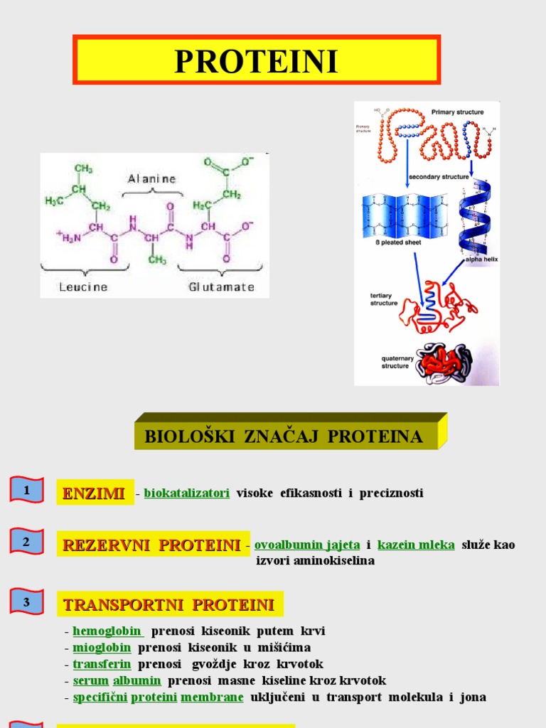 3 Proteini | PDF