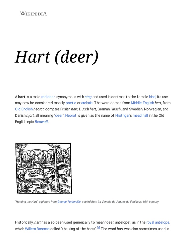 Hart (Deer) - Wikipedia | PDF | Deer