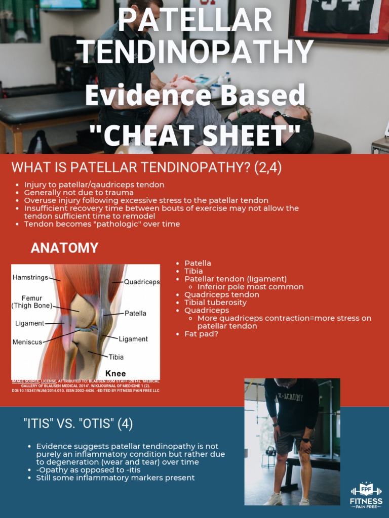 Patellar Tendinopathy Evidence Based Cheat Sheet 1 | PDF | Knee | Physical Therapy
