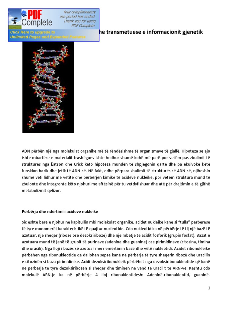 ADN: Molekula Mbartëse Dhe Transmetuese e Informacionit Gjenetik | PDF