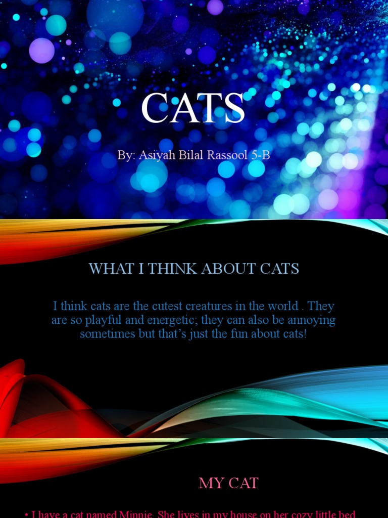 Cats | PDF