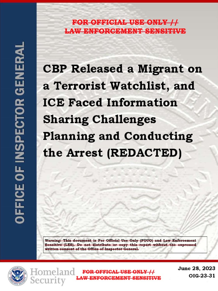 OIG CBP Report | PDF
