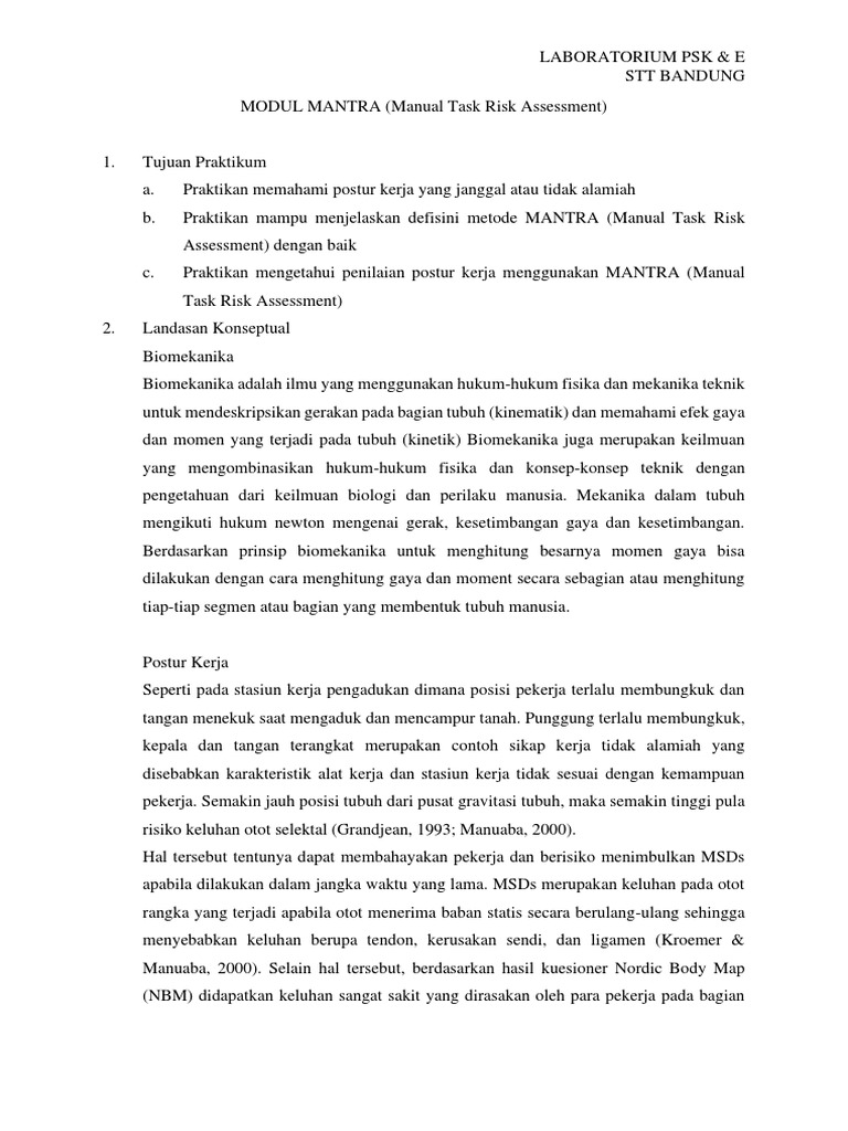 Penilaian Risiko Tugas Manual MANTRA | PDF | Sains & Matematika