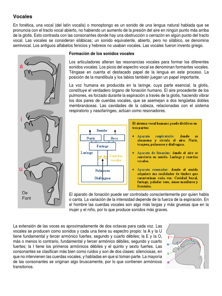 Proveniencia de Las Vocales | PDF | Vocal | Comunicación humana