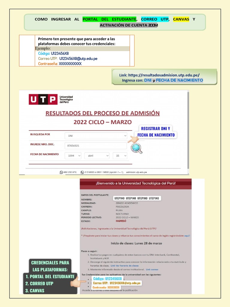 Manual de Acceso A Las Plataformas - Actualizado | PDF | Software | Informática