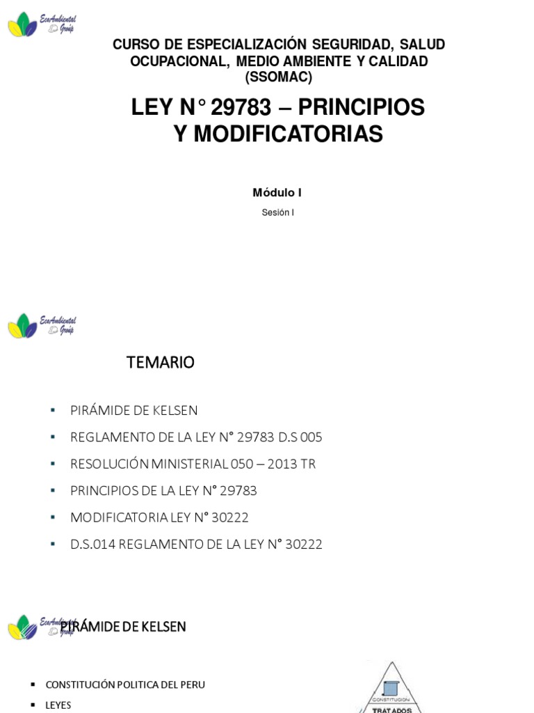 M1-S1 - Ley de Seguridad y Salud en El Trabajo N°29783 - Modificatorias | PDF | Seguridad y ...