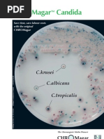 Qiagen Plasmid Prep Buffer Recipes | PDF | Buffer Solution | Ph