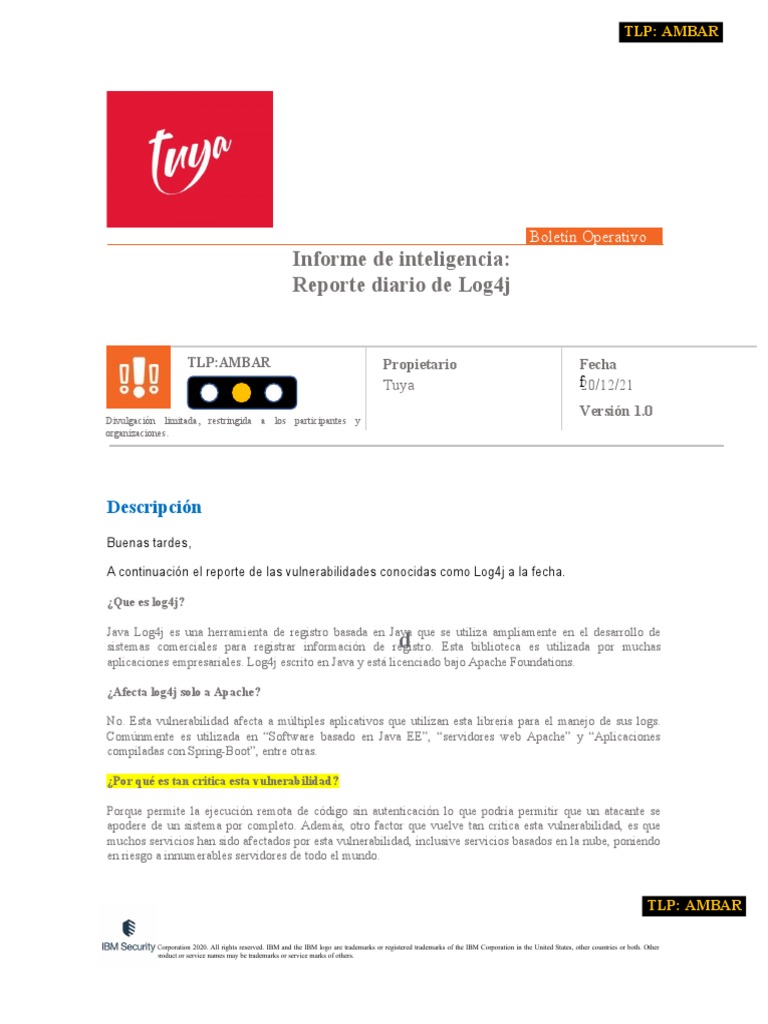 Tuya - Reporte Diario de Log4j - 20 Dic | PDF