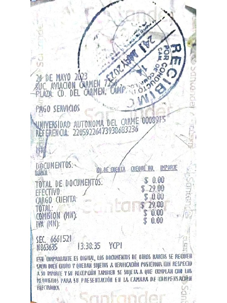 Ticket de Pago | PDF