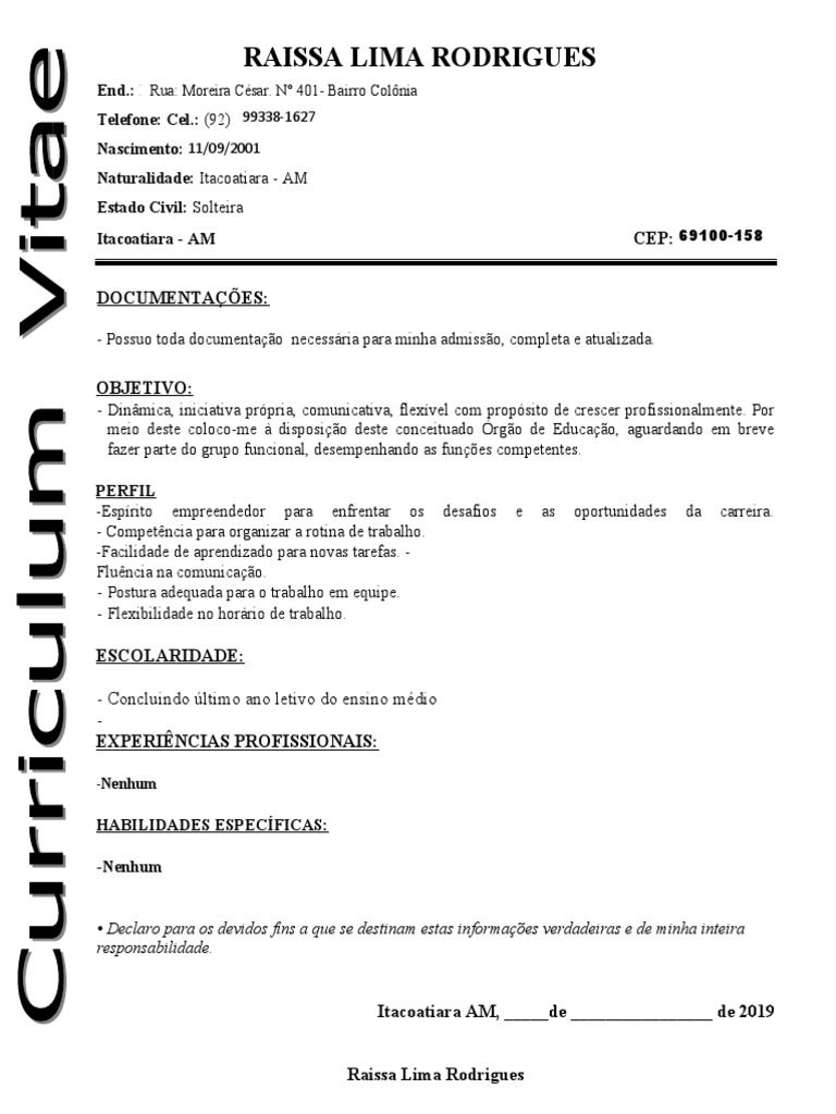 Perfil Profissional de Raissa Lima Rodrigues | PDF