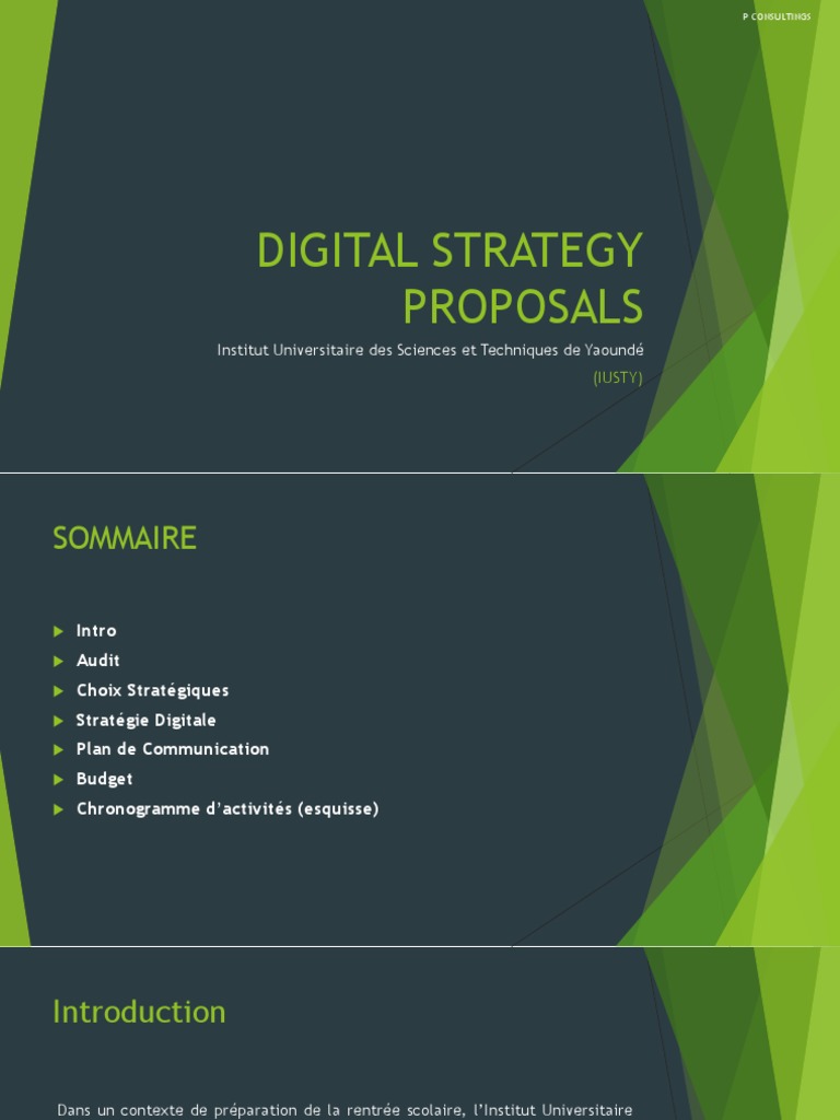 Digital Strategy Proposals IUSTY - P Consultings | PDF