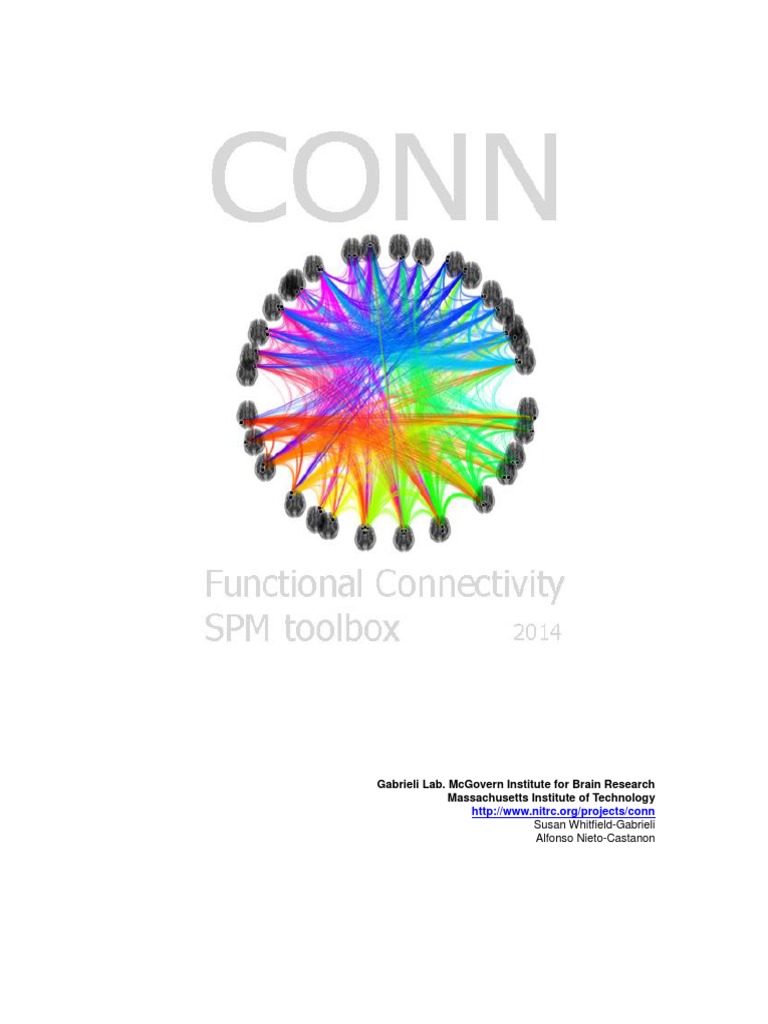 CONN Toolbox: fMRI Connectivity Analysis | PDF | Dependent And ...