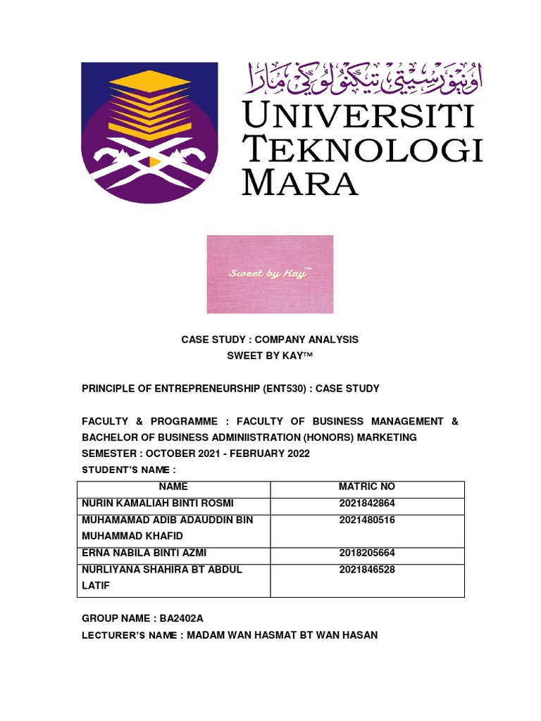 Case Study Assignment (Company Analysis) | PDF | Sales | Marketing