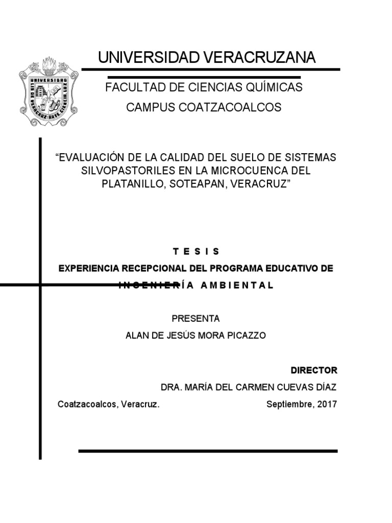 Tesis Alan Mora Picazzo Final | PDF | Suelo | Agua