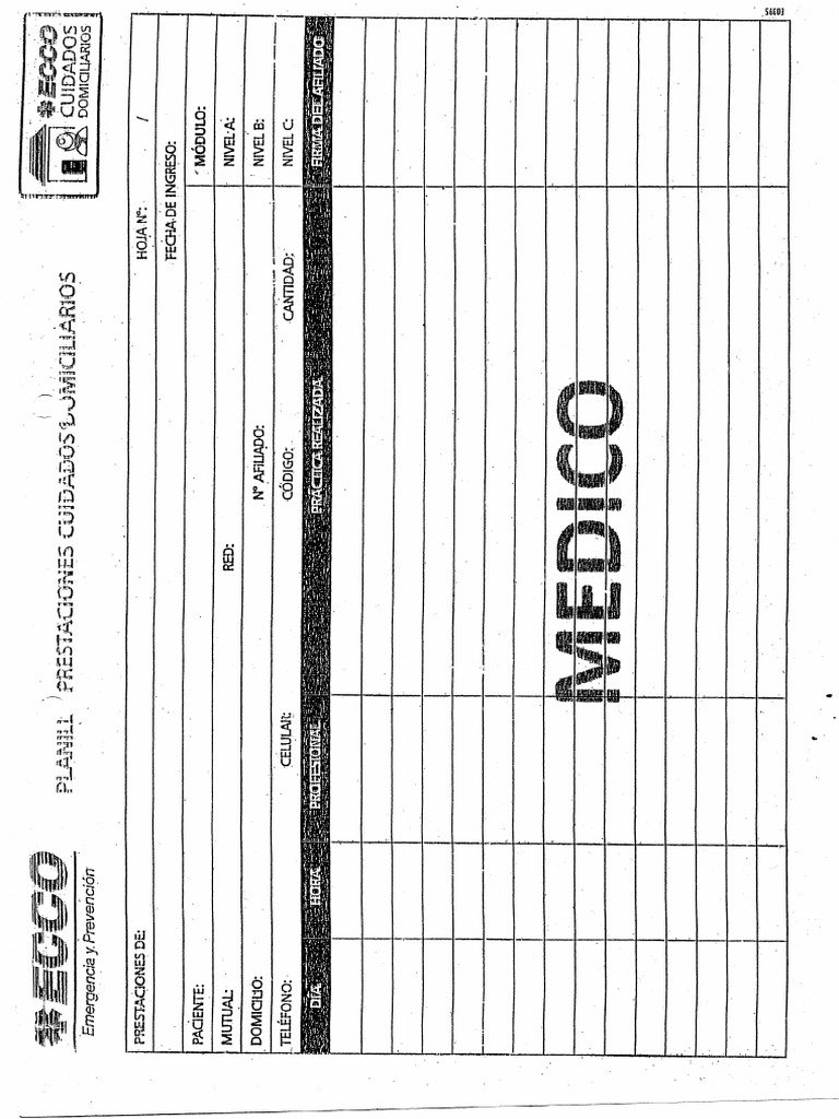 Planilla Medico Diaria | PDF