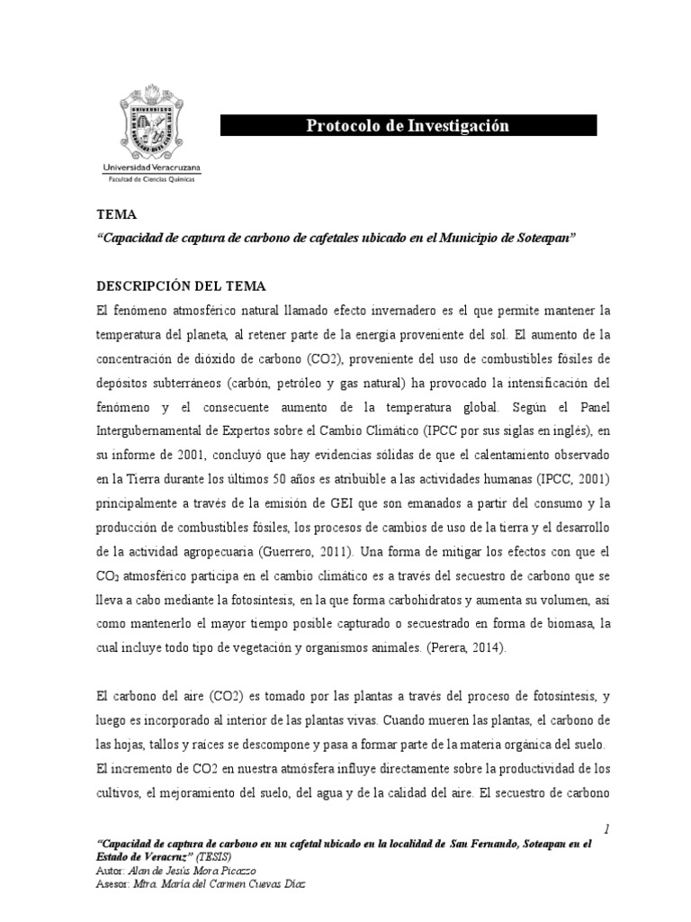 Protocolo - Alan de Jesús Mora Picazzo | PDF | Secuestro de carbón ...