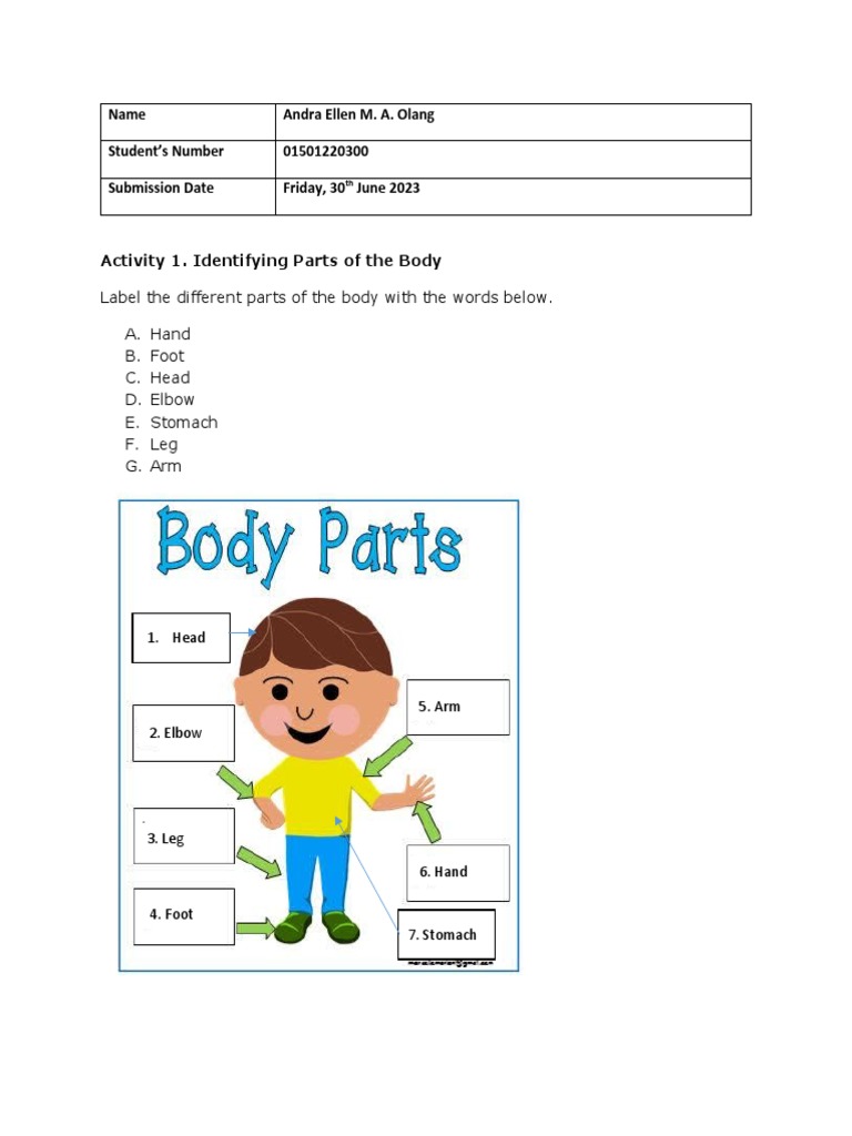 Worksheet - I Am Not Feeling Well | PDF