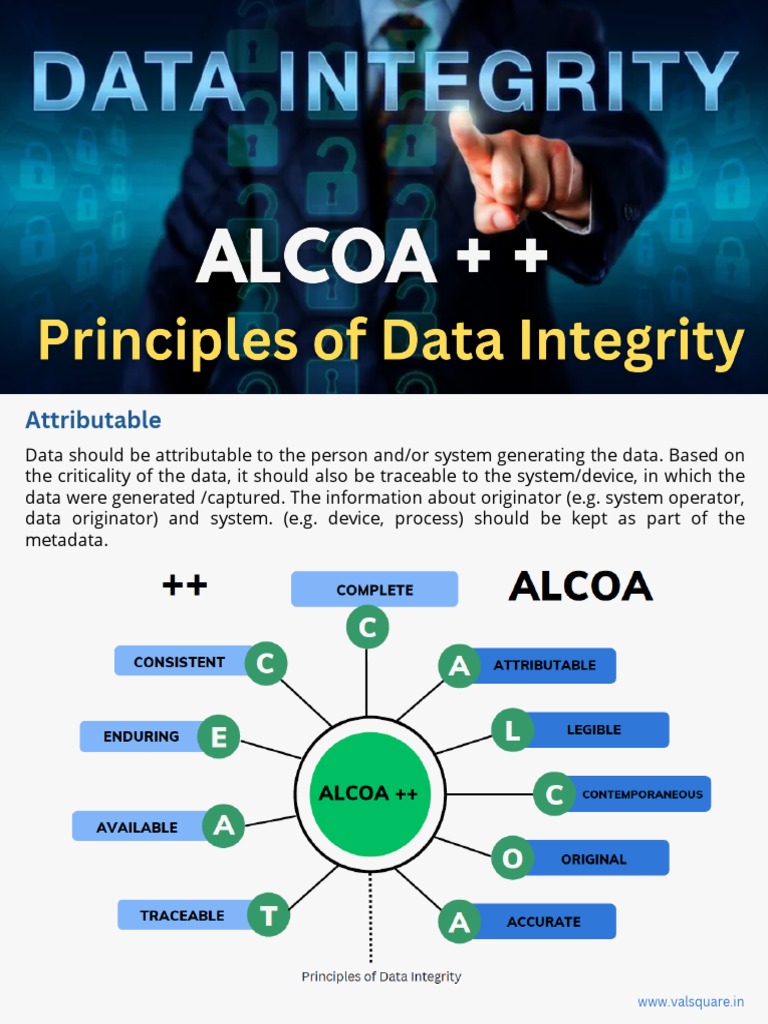 Data Integrity | PDF | Data | Information