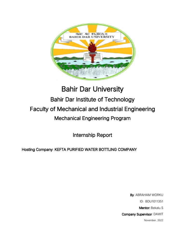 Abraham Worku Report | PDF