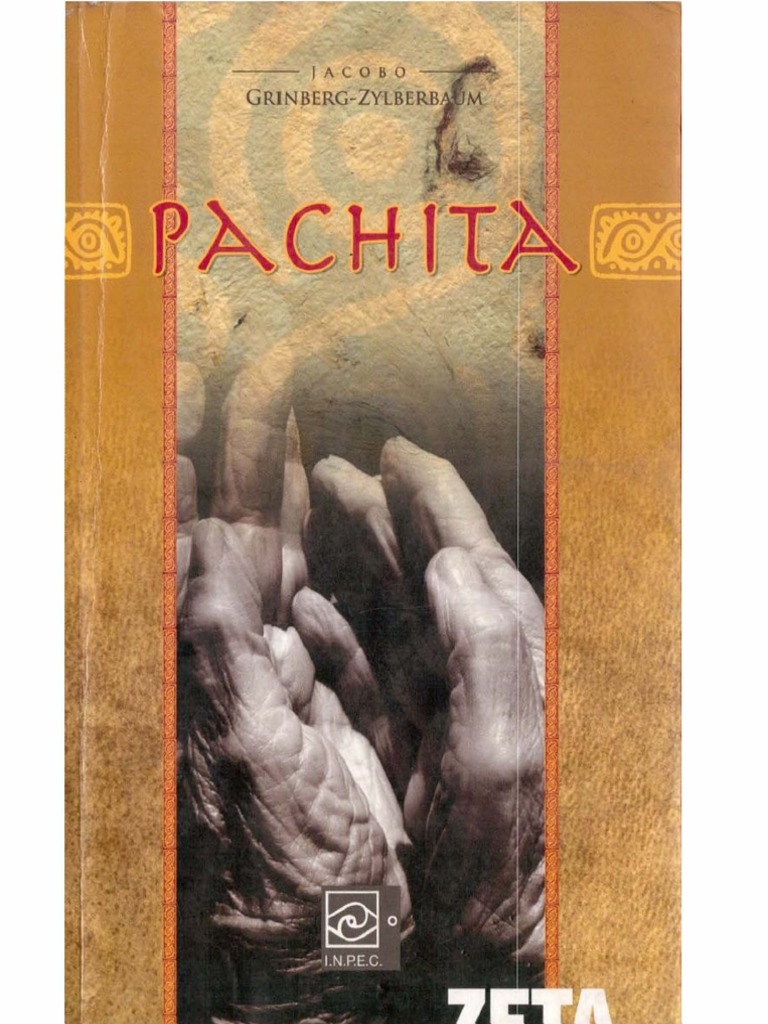 Pachita | PDF | Experiencia | Neurona