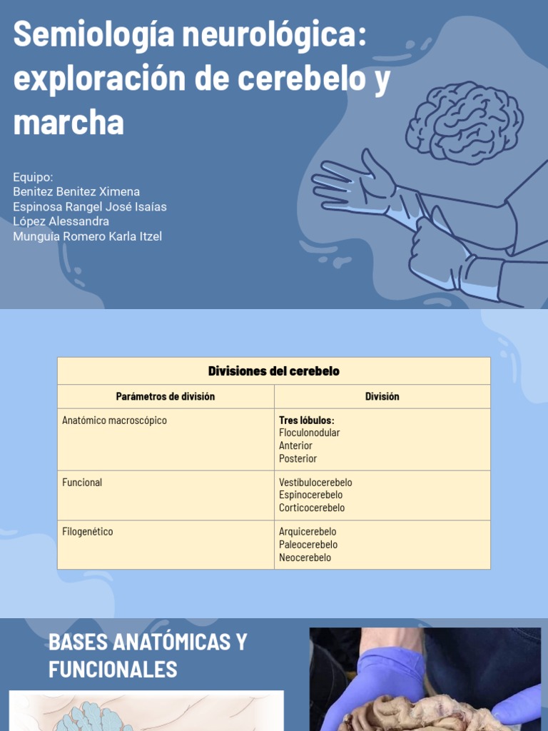 Semiología neurológica_ exploración de cerebelo y marcha | PDF ...