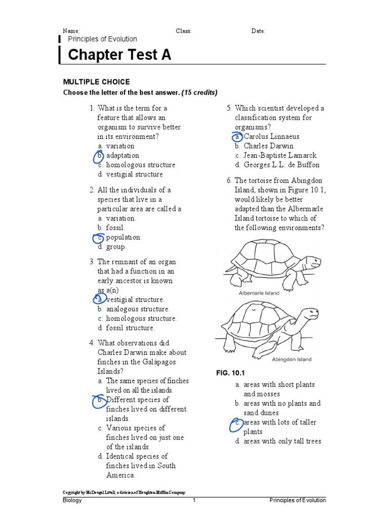 Chaper 10 Test | PDF | Natural Selection | Heredity