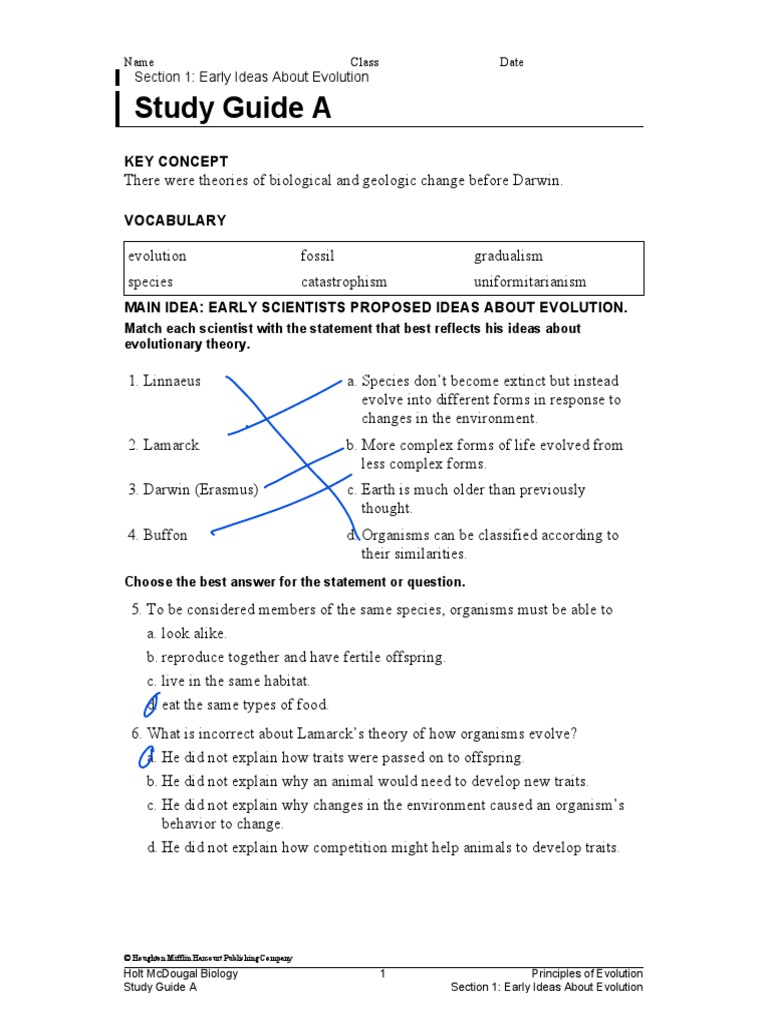 Chapter 10 Study Guide | PDF | Social Science