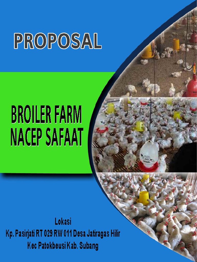 Proposal Budidaya Ayam Ras | PDF