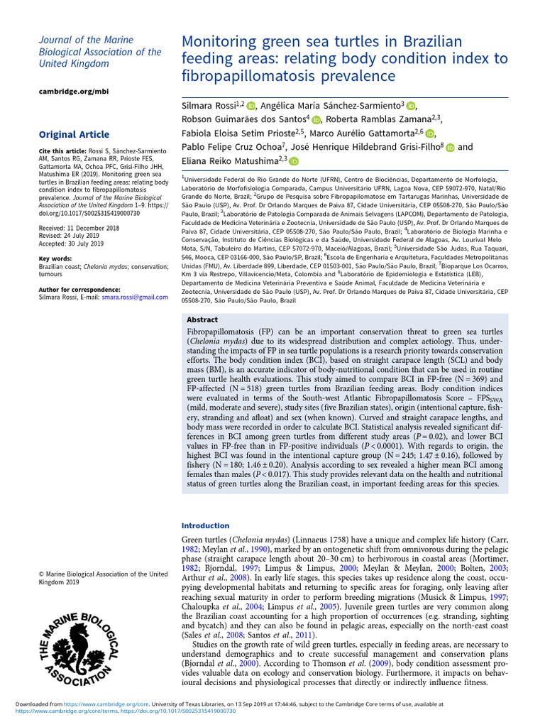 Monitoring Green Sea Turtles in Brazilian | PDF | Science