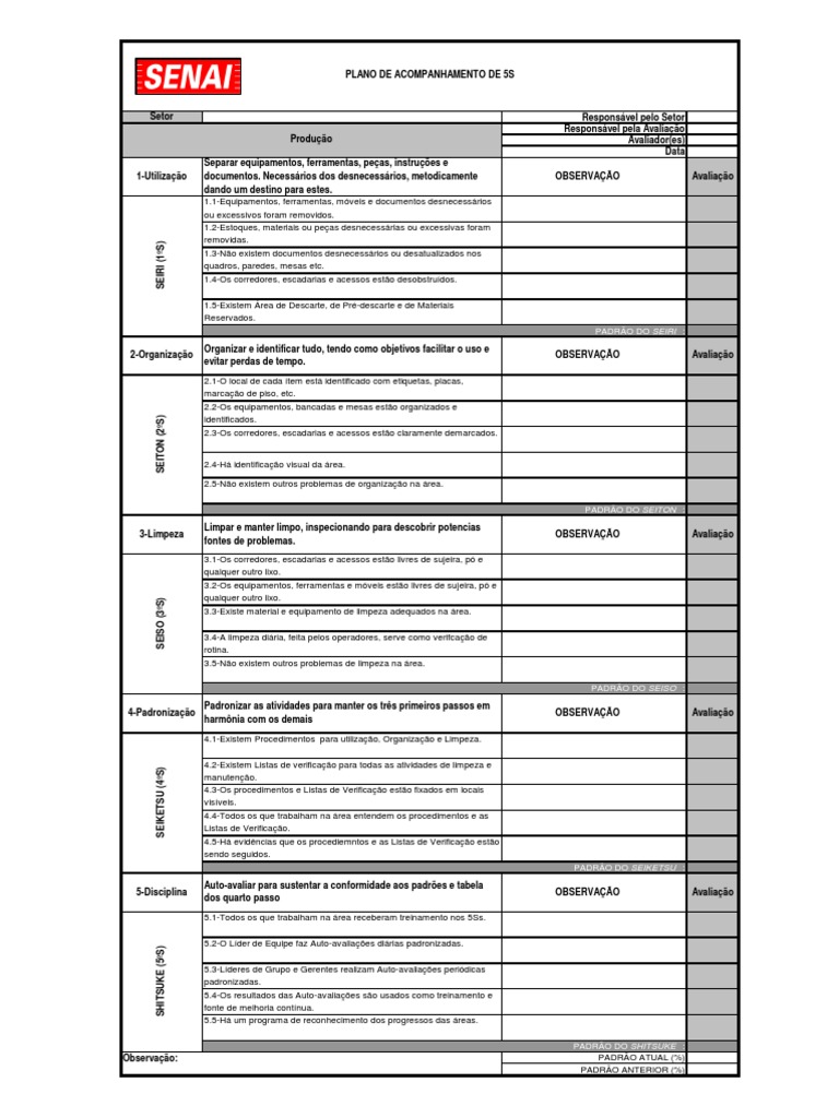 Plano de Acompanhamento 5s | PDF