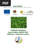 Guide de culture du macabo au Cameroun | PDF | Fertilisant | Maïs