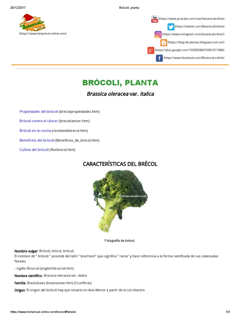 Brocoli Pdf Brócoli Cultivos