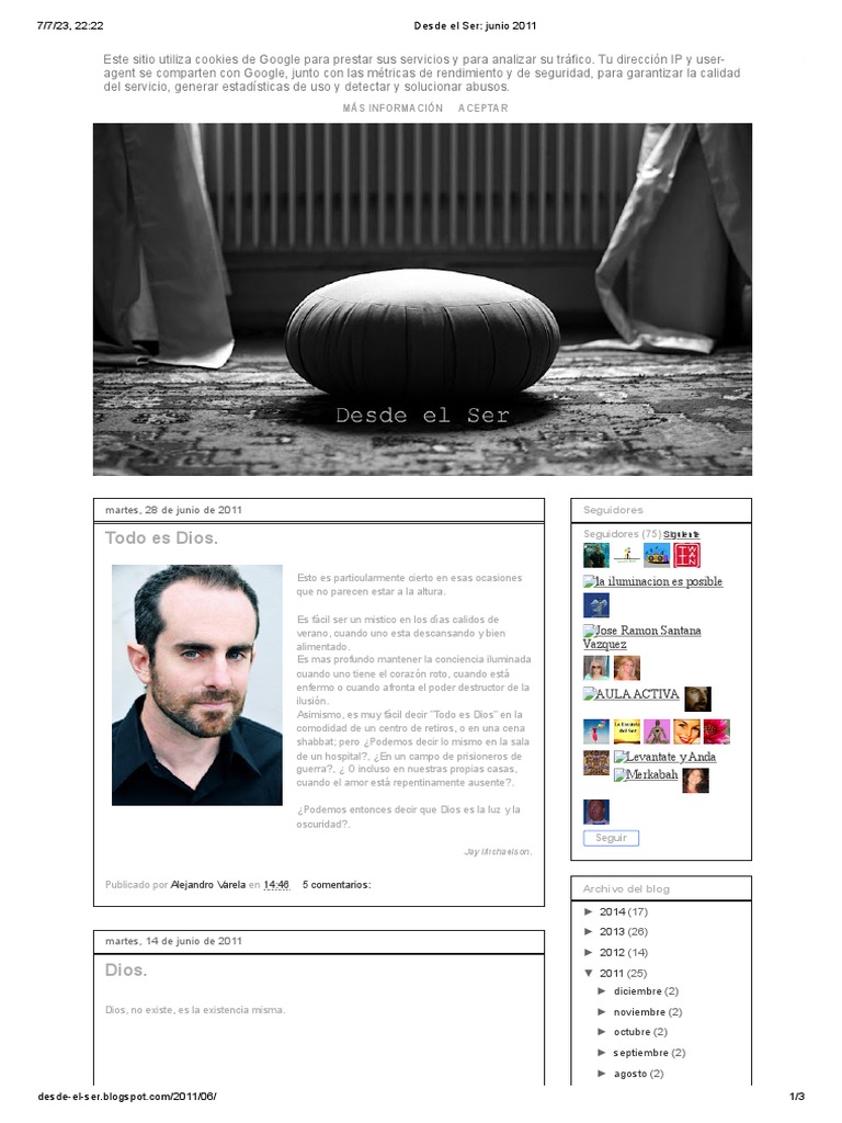 Desde El Ser - Junio 2011 | PDF